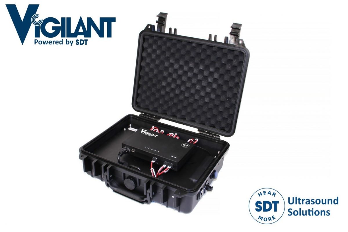 Vigilant - Medieval Maintenance - SDT Ultrasound
